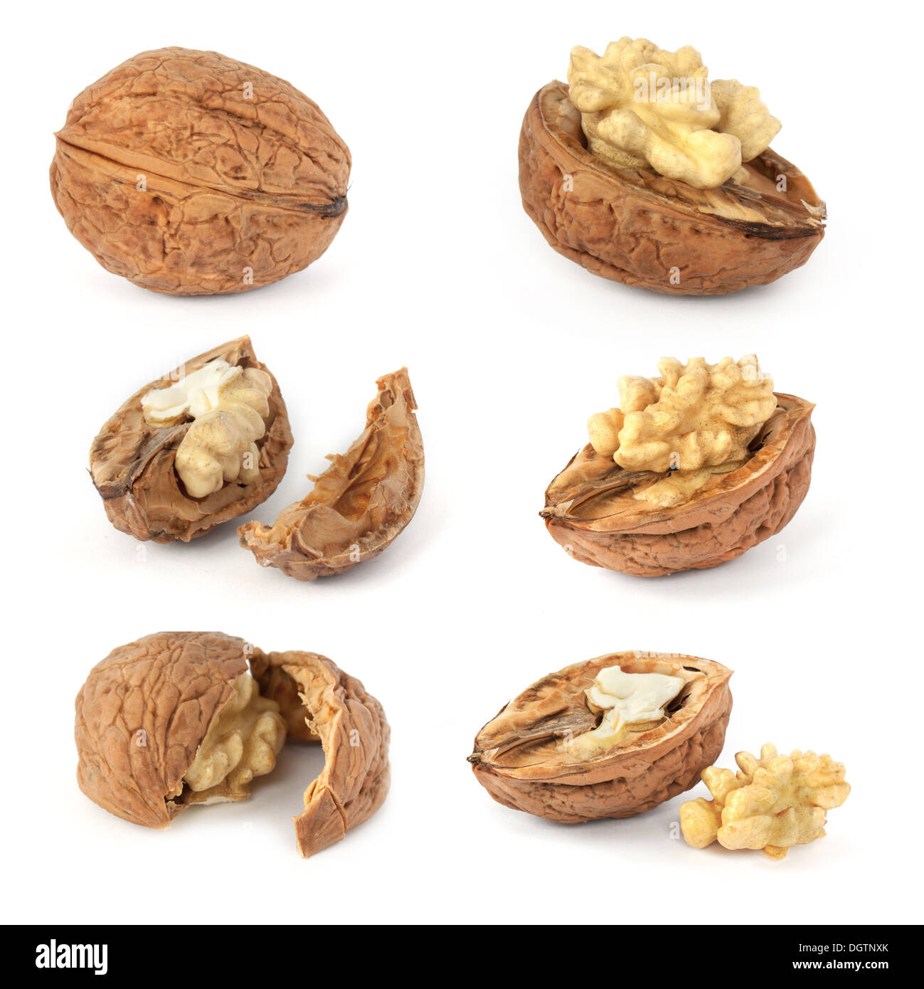 Shelled walnuts in white Cut Out Stock Images & Pictures - Alamy