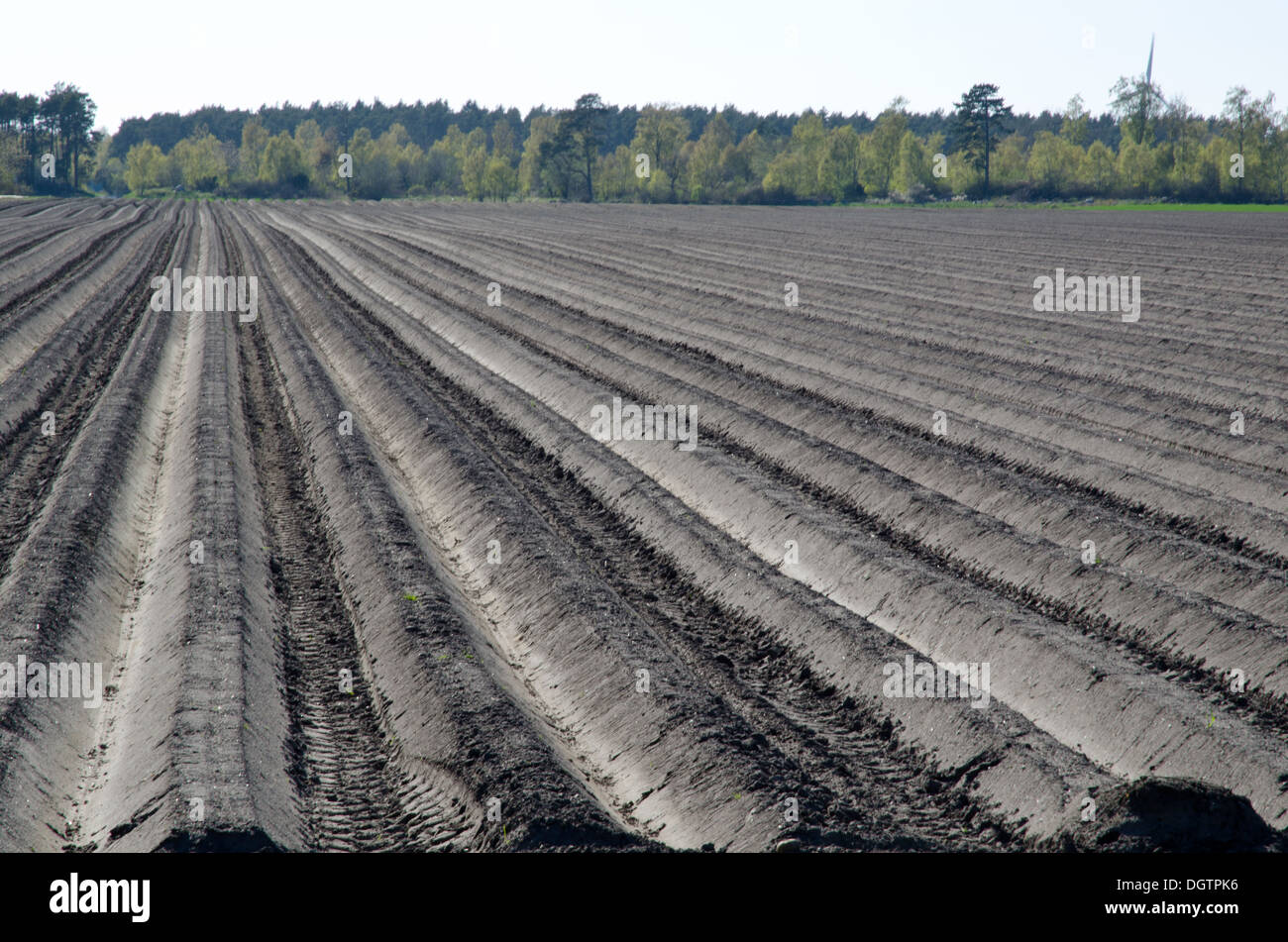 Plough soil texture hi-res stock photography and images - Alamy