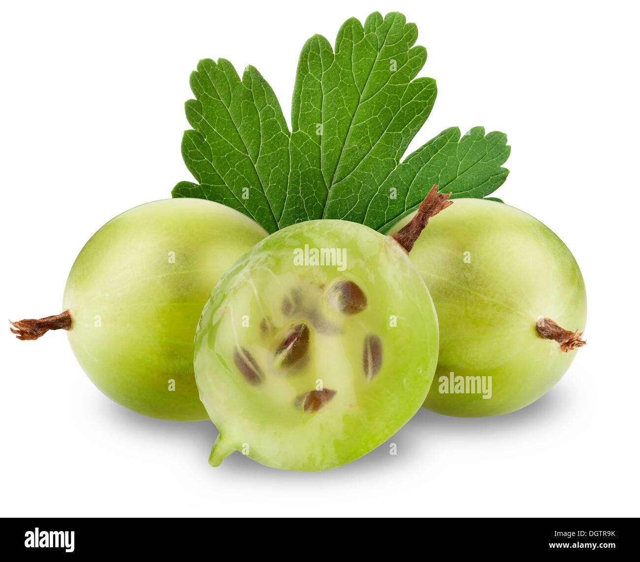 Gooseberry eat hi-res stock photography and images - Alamy