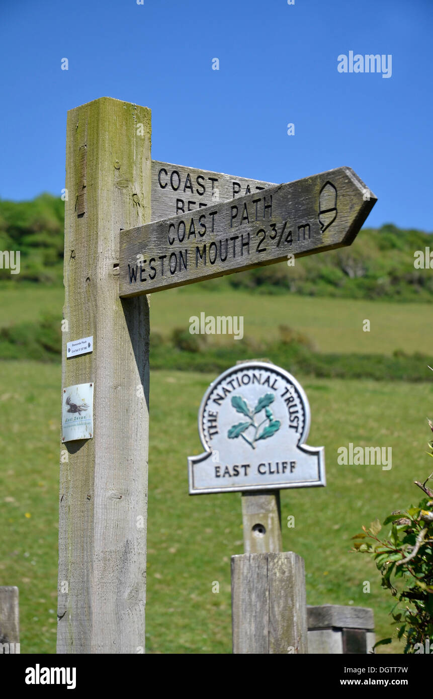 Branscombe bay hi-res stock photography and images - Alamy