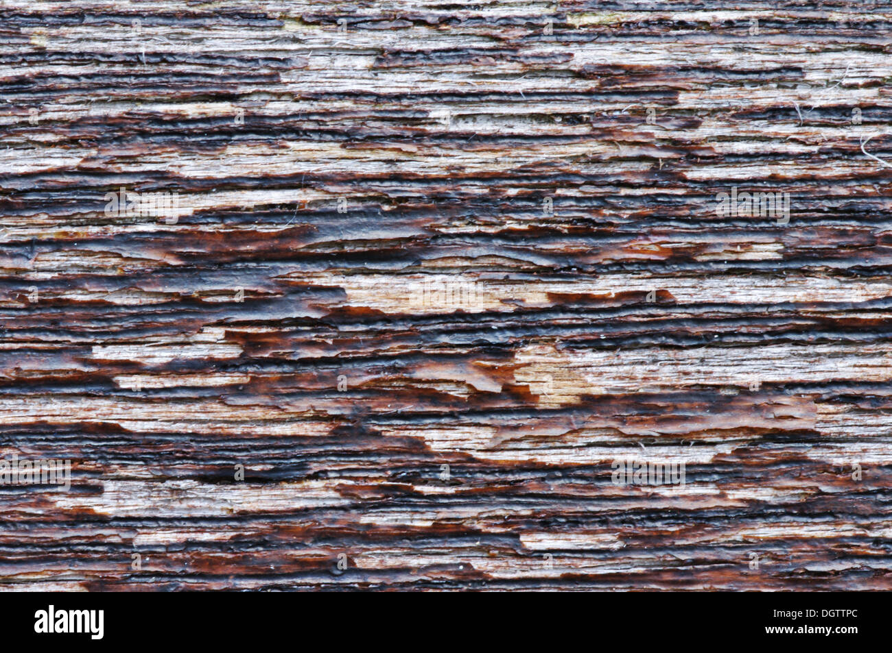 Close up of peeling wood stain texture suitable for background or ...