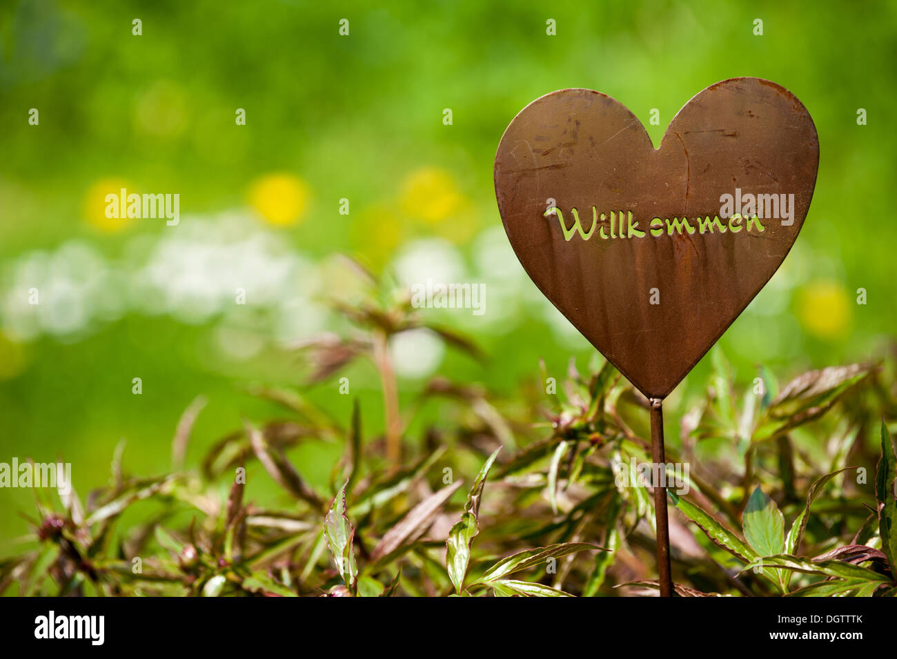Welcome sign in the garden Stock Photo - Alamy