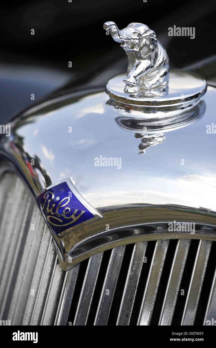 Riley car badge hi-res stock photography and images - Alamy