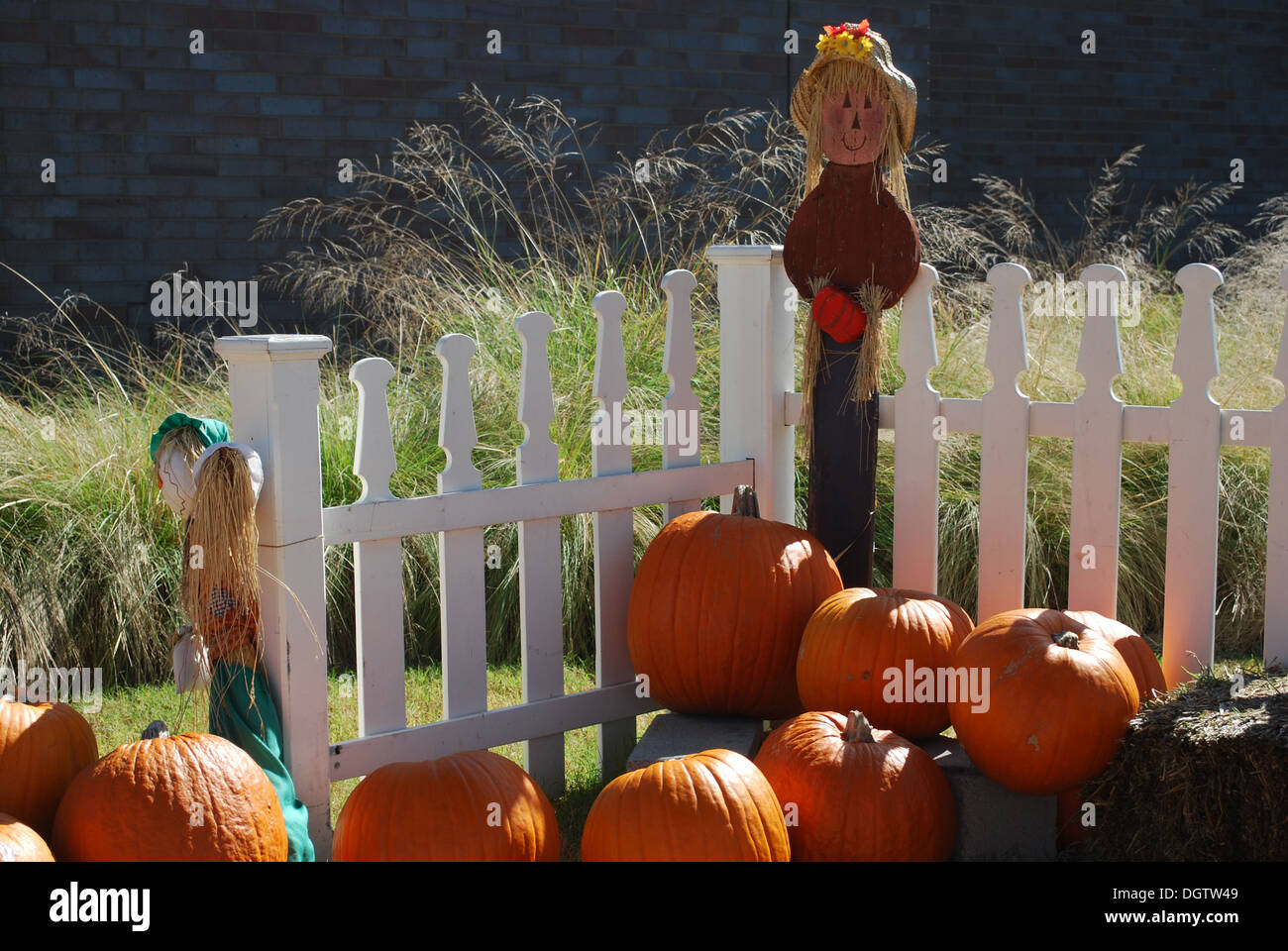 Neighboring tribes hi-res stock photography and images - Alamy