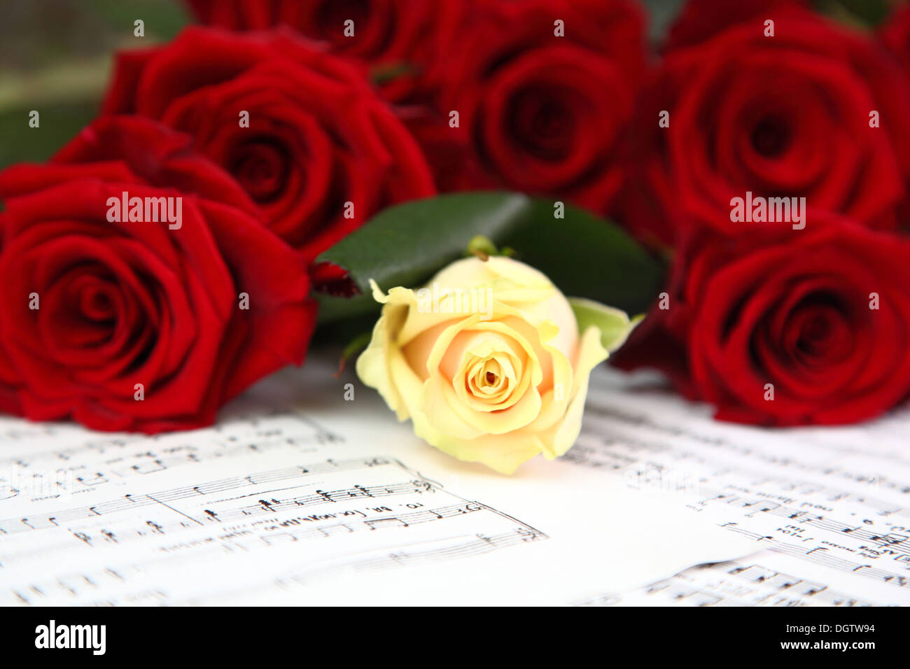 Romantic note love red rose hi-res stock photography and images - Alamy