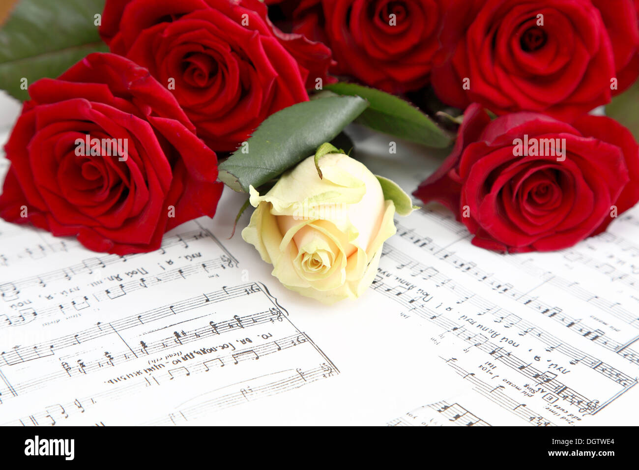 Pink roses music notes hi-res stock photography and images - Alamy