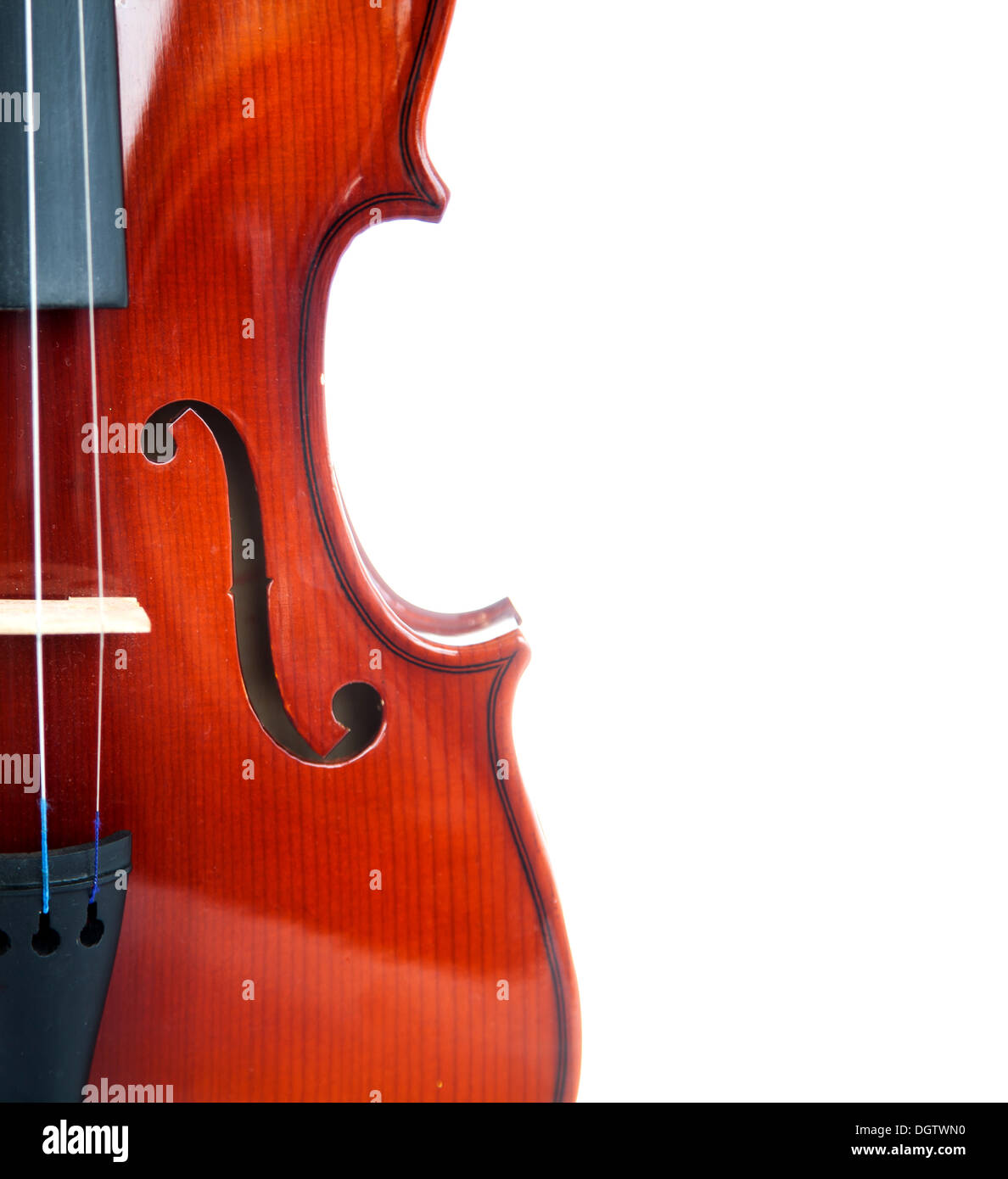 Violin isolated on white background Stock Photo - Alamy