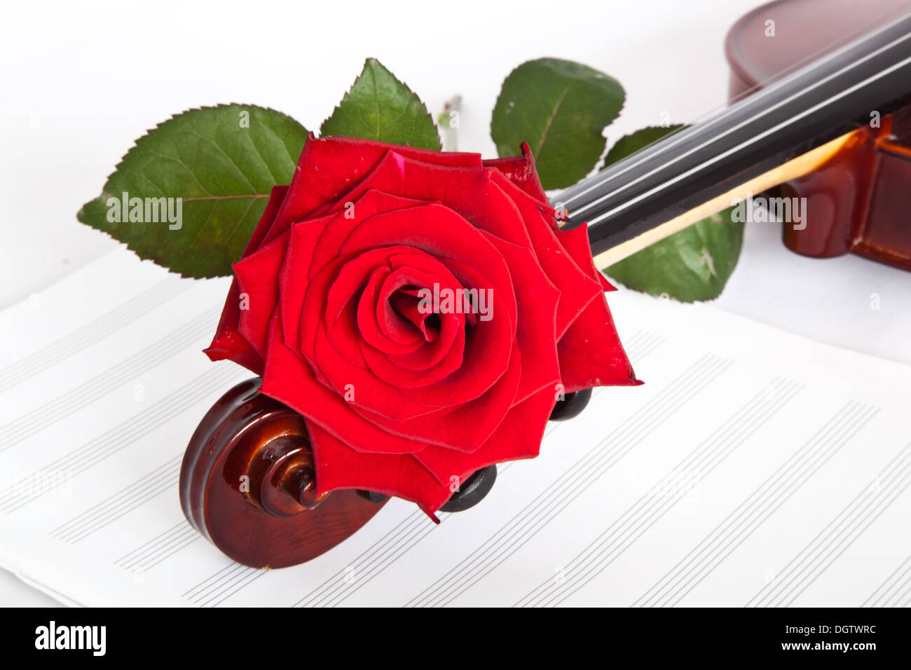 Rose, violin and musical notebook on a white background Stock Photo - Alamy