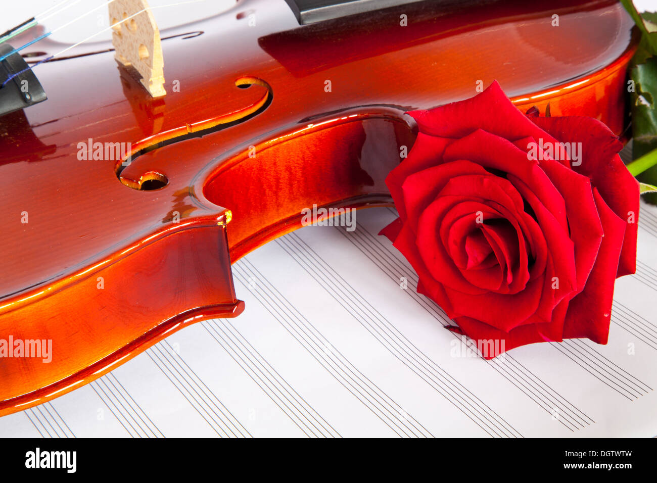 Violins And Roses