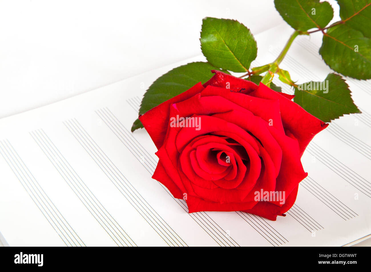 red rosa on note sheet Stock Photo - Alamy