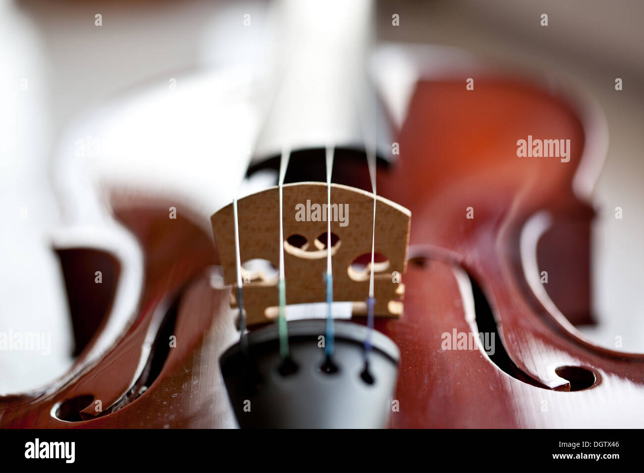 On a photo violin close up photos Stock Photo - Alamy