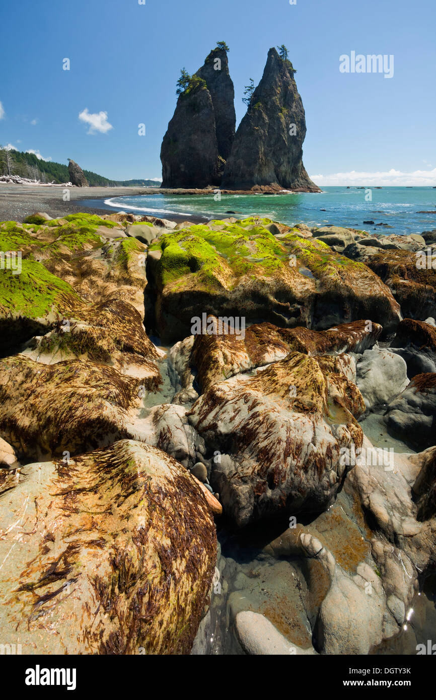 WASHINGTON - Rocks, seastacks and islands from Rialto Beach in Olympic ...