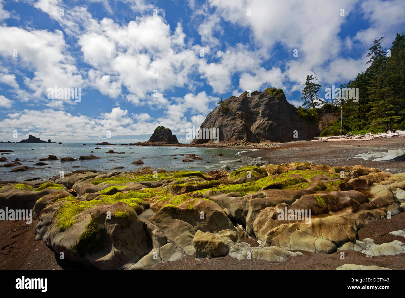 WASHINGTON - Rocks, seastacks and islands from Rialto Beach at Hole-in ...