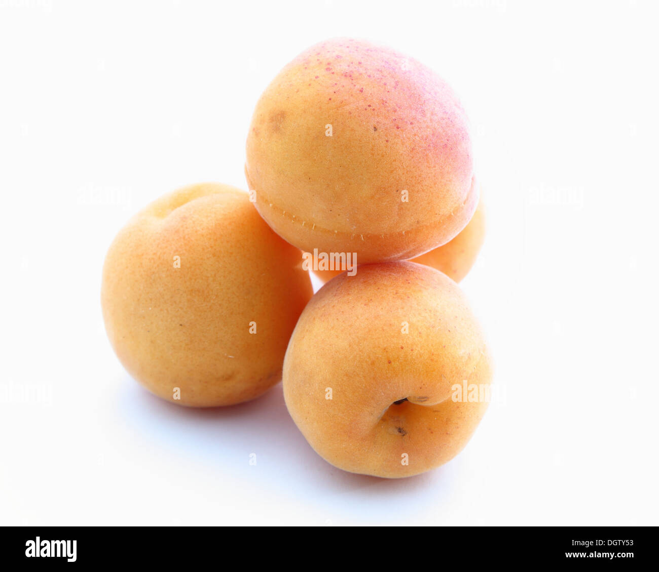 apricots on a white background Stock Photo - Alamy