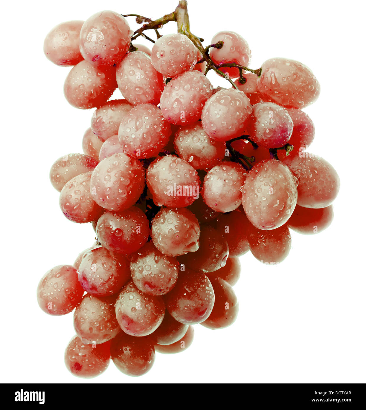 Green grapes in water hi-res stock photography and images - Alamy