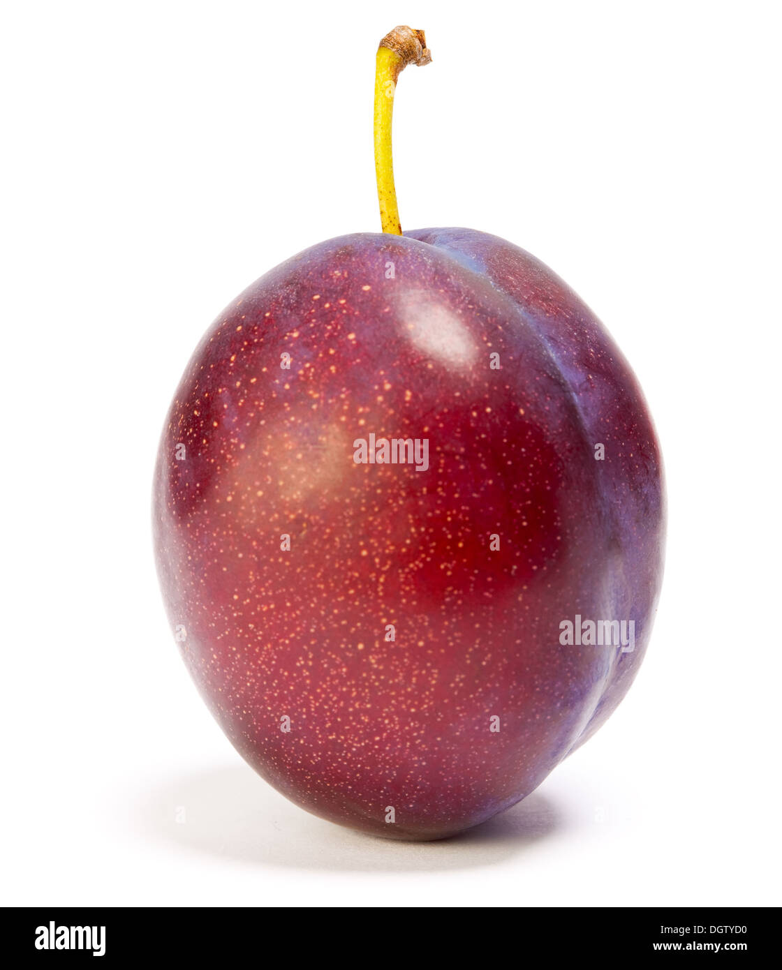 Plum seed row hi-res stock photography and images - Alamy