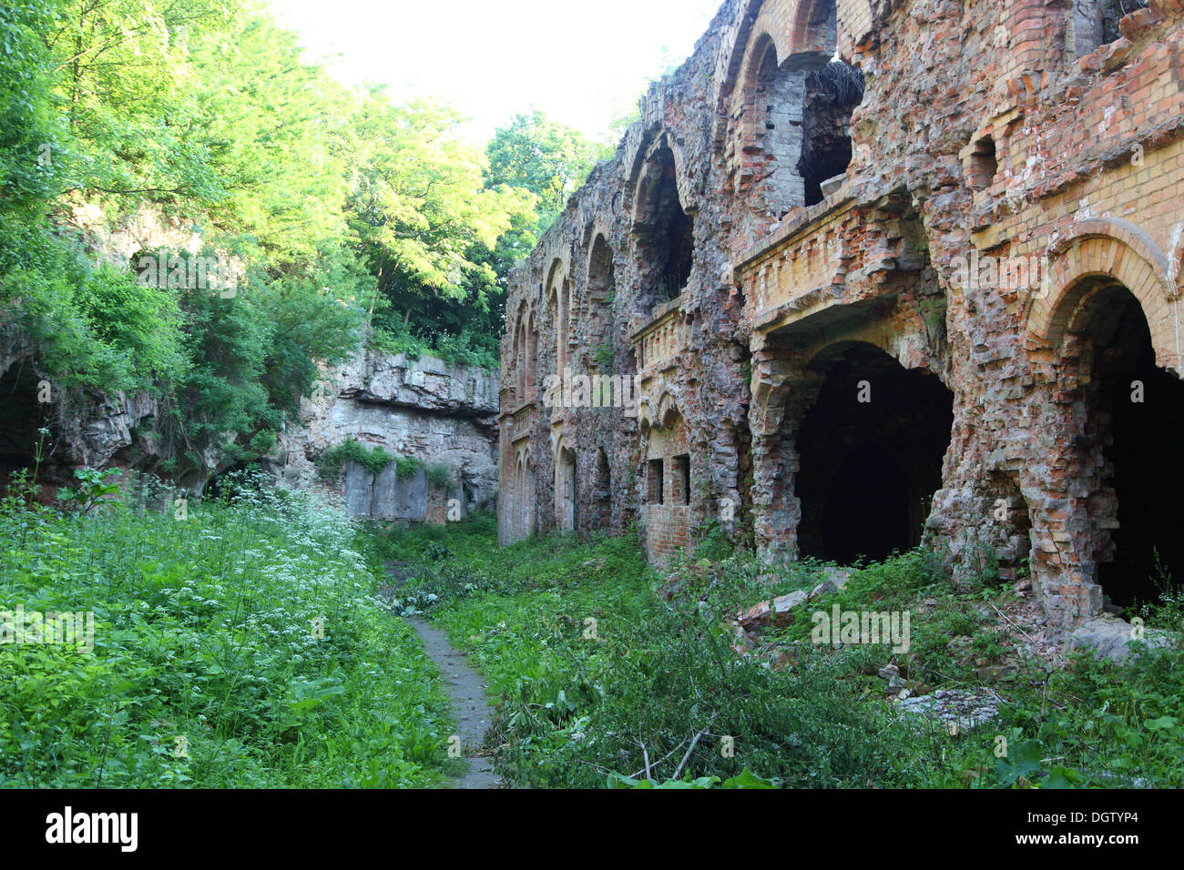Medieval castle ruins. Ukraine Stock Photo - Alamy