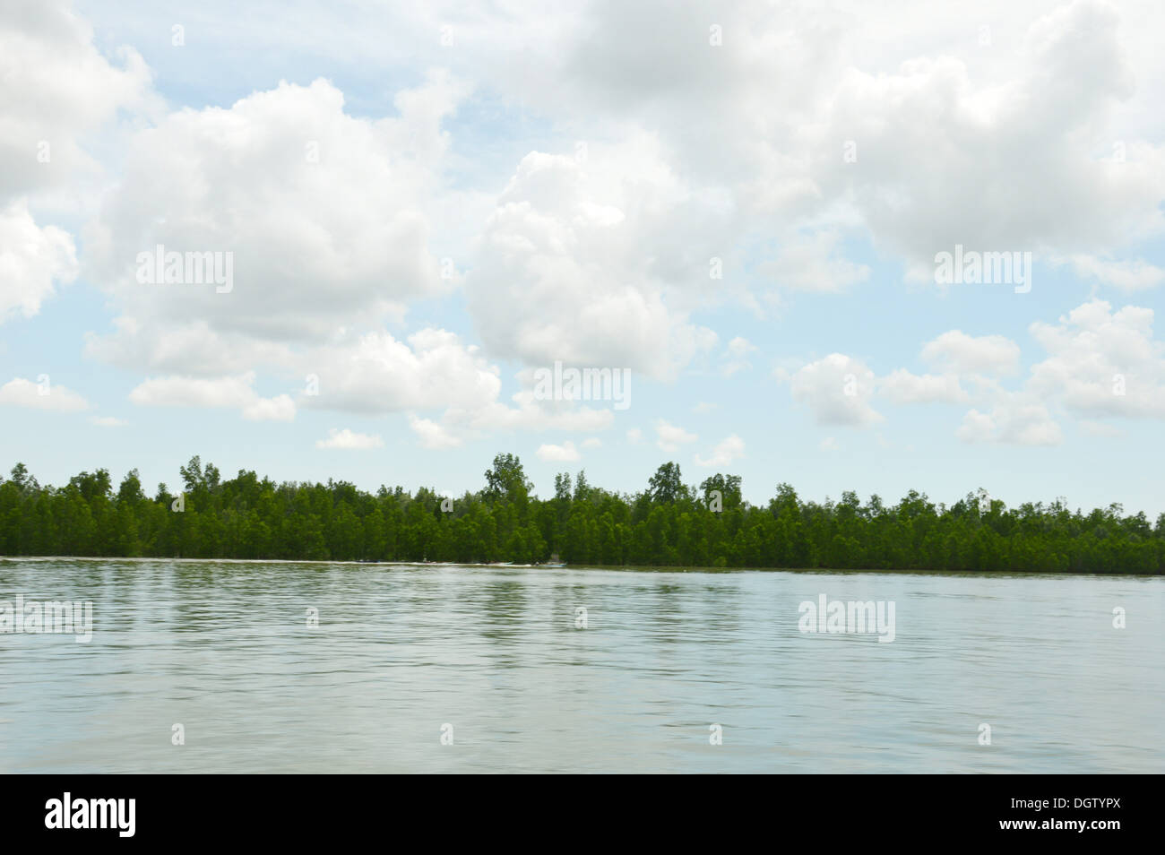 Tarakan mangrove hi-res stock photography and images - Alamy