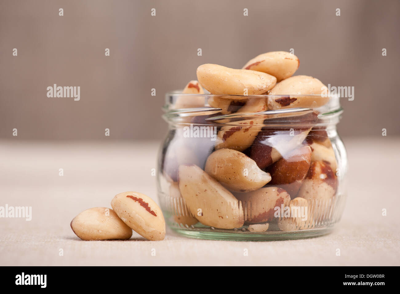 Bertholletia excelsa hi-res stock photography and images - Alamy