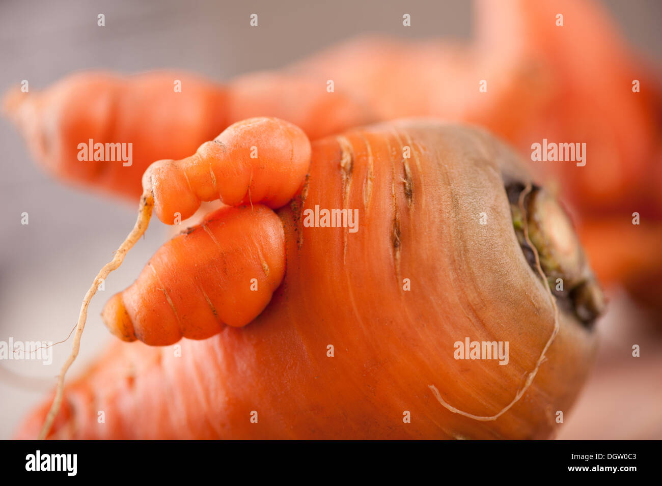 Distorted deformed hi-res stock photography and images - Alamy