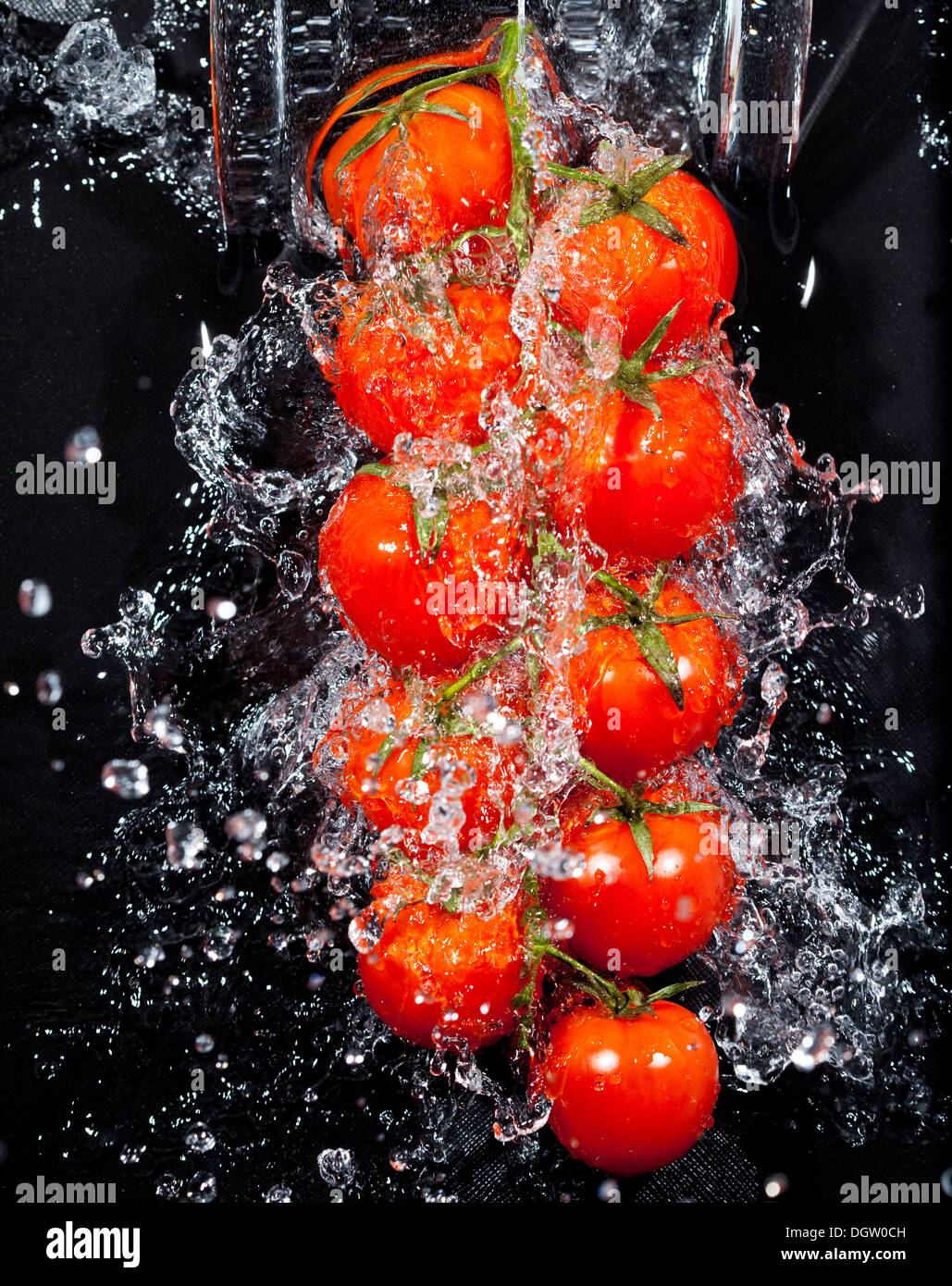 tomatos branch in water splashes Stock Photo - Alamy