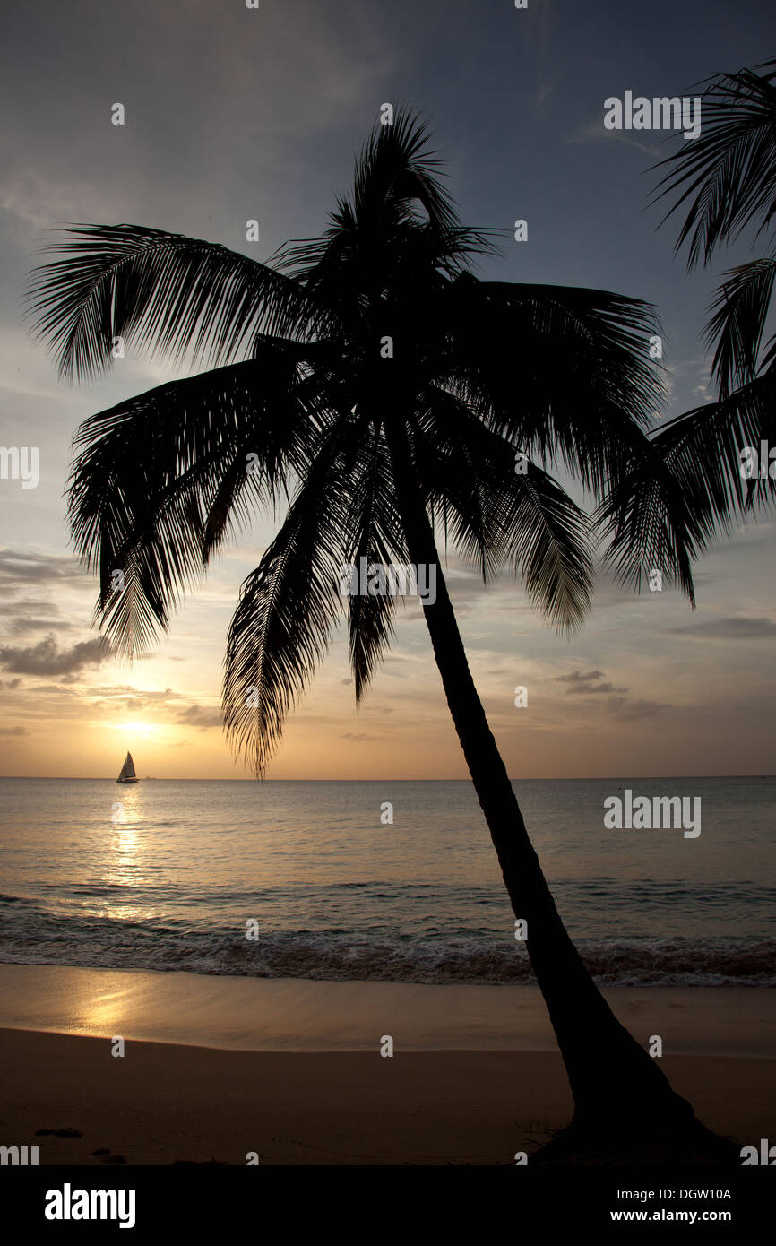 sunset with ship in the sea with palm trees Stock Photo - Alamy