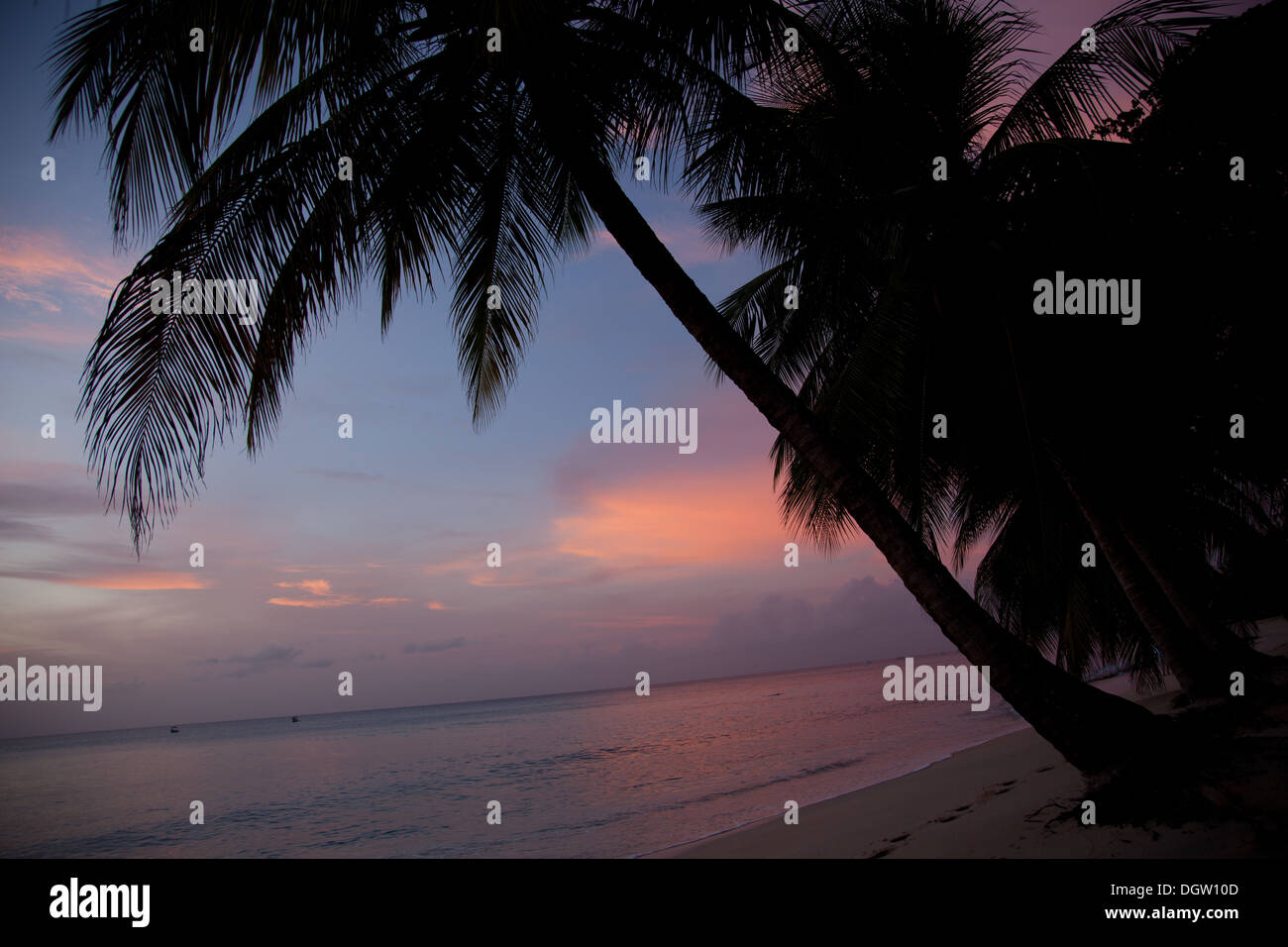 Sunset tropical beach palm trees hi-res stock photography and images ...