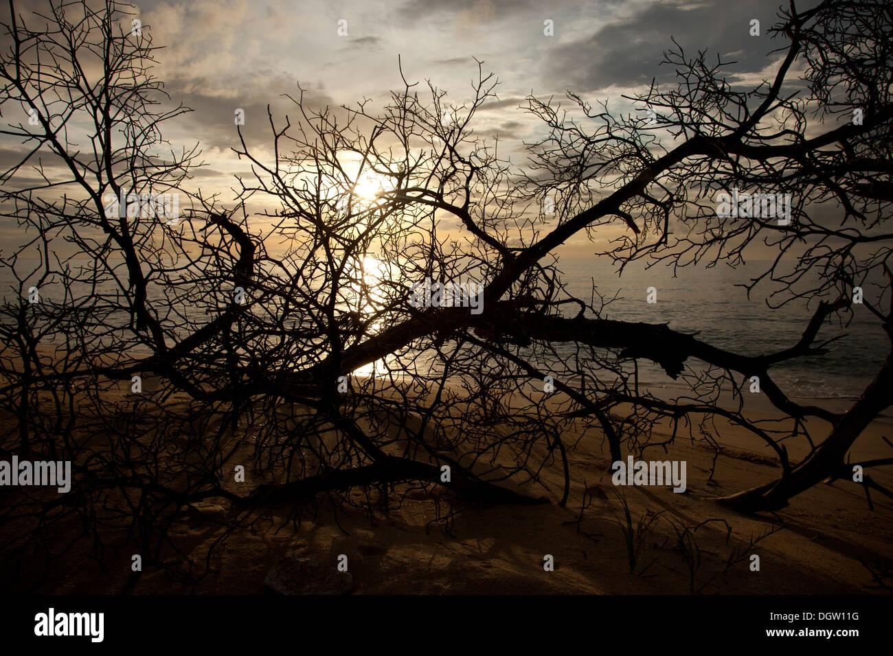 Sky sunset beach hi-res stock photography and images - Alamy