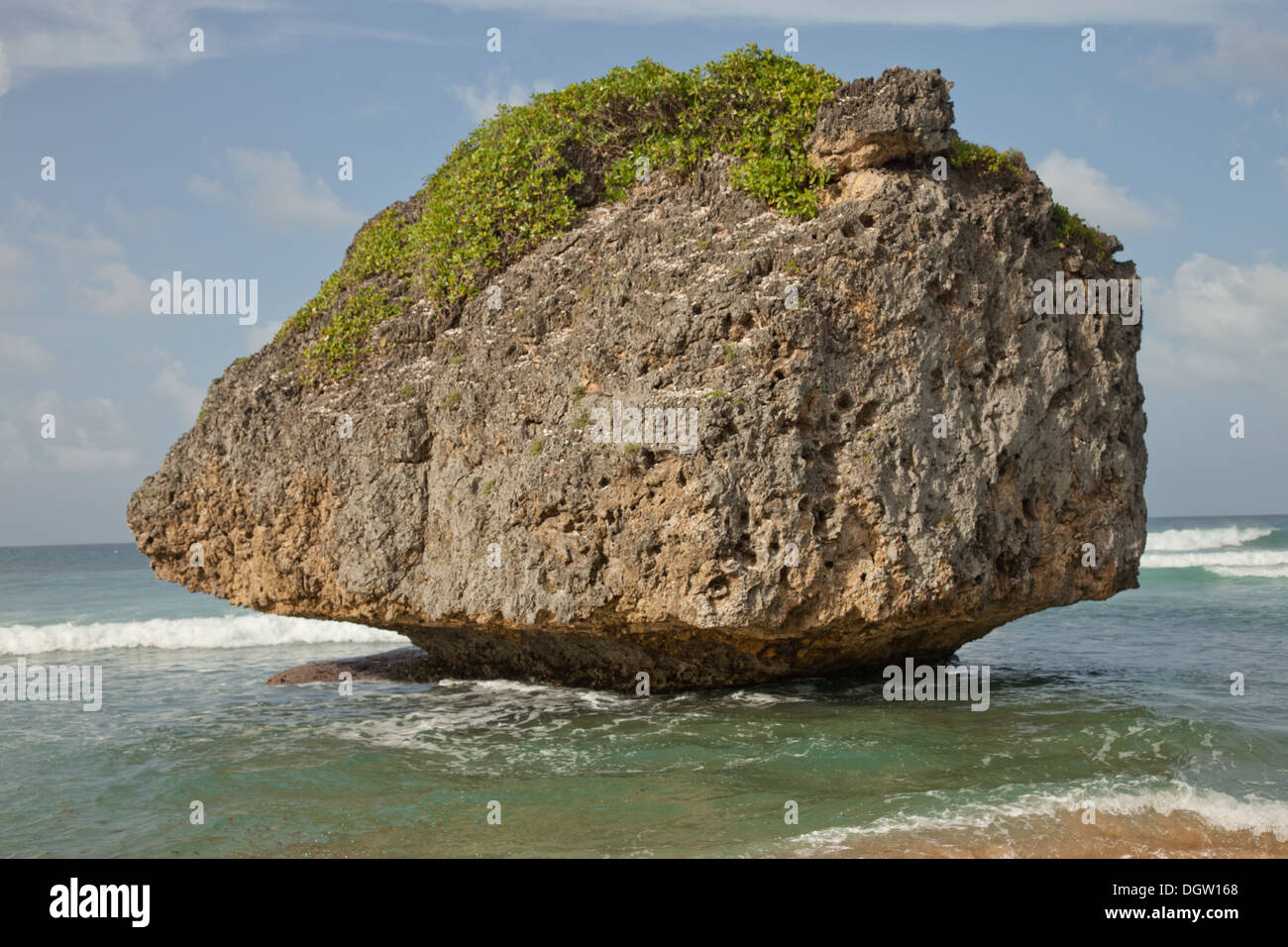 one of bashiba stones in the water in Barbados Stock Photo - Alamy