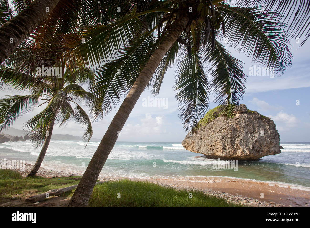 nice Bashiba beach view in Barbados Stock Photo - Alamy