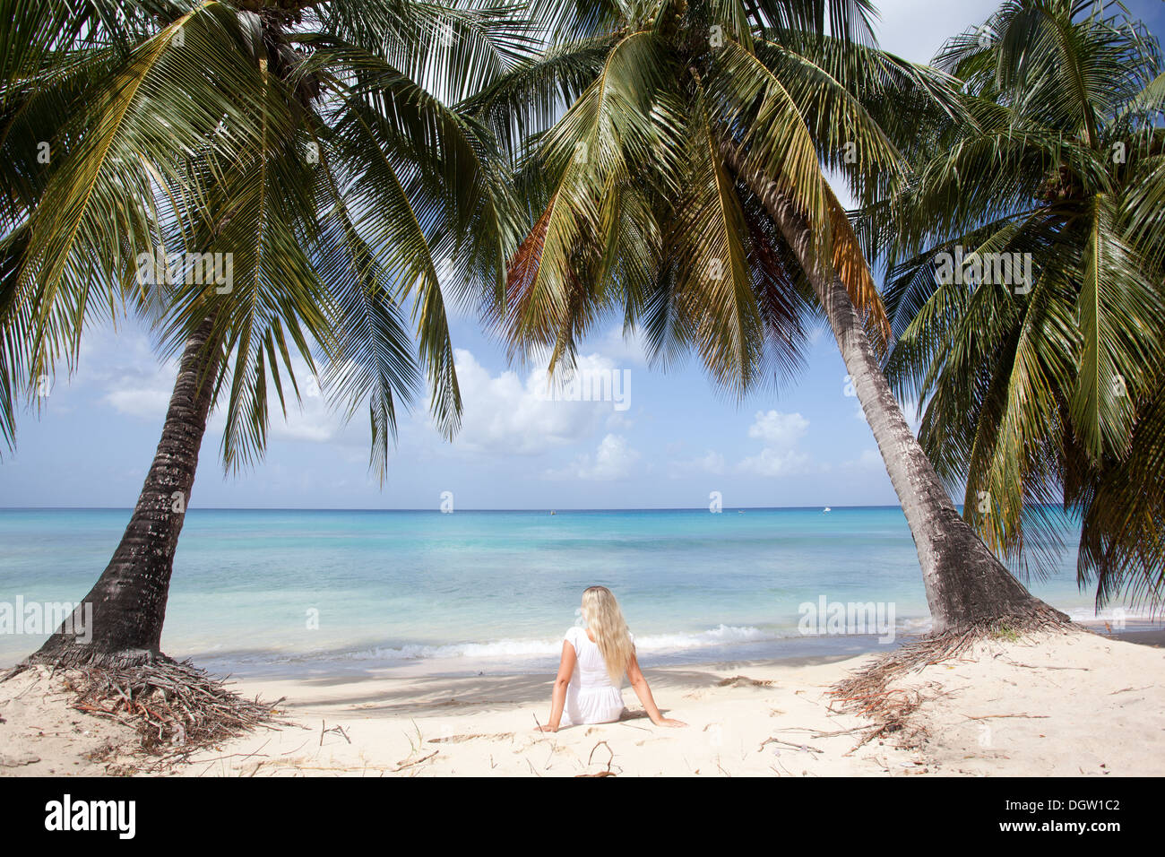 Tropical barbados hi-res stock photography and images - Alamy