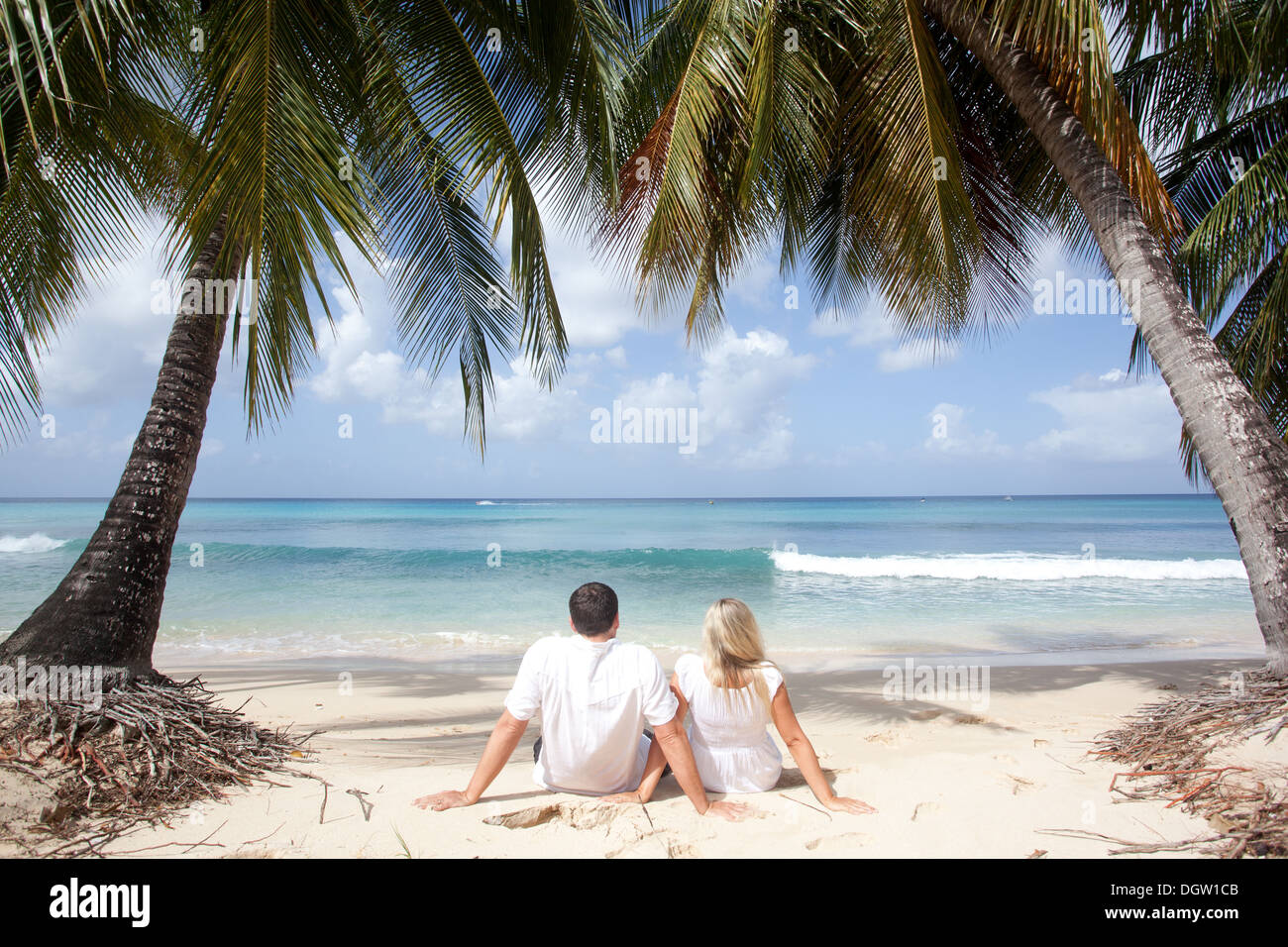 Under the palm trees hi-res stock photography and images - Alamy