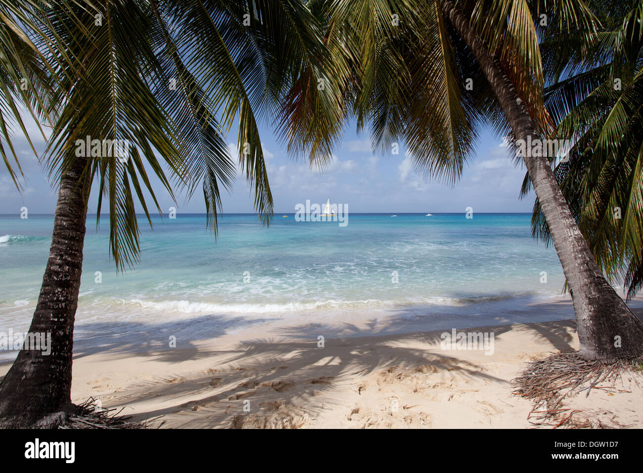 tropical beach with sea view and palm trees Stock Photo - Alamy