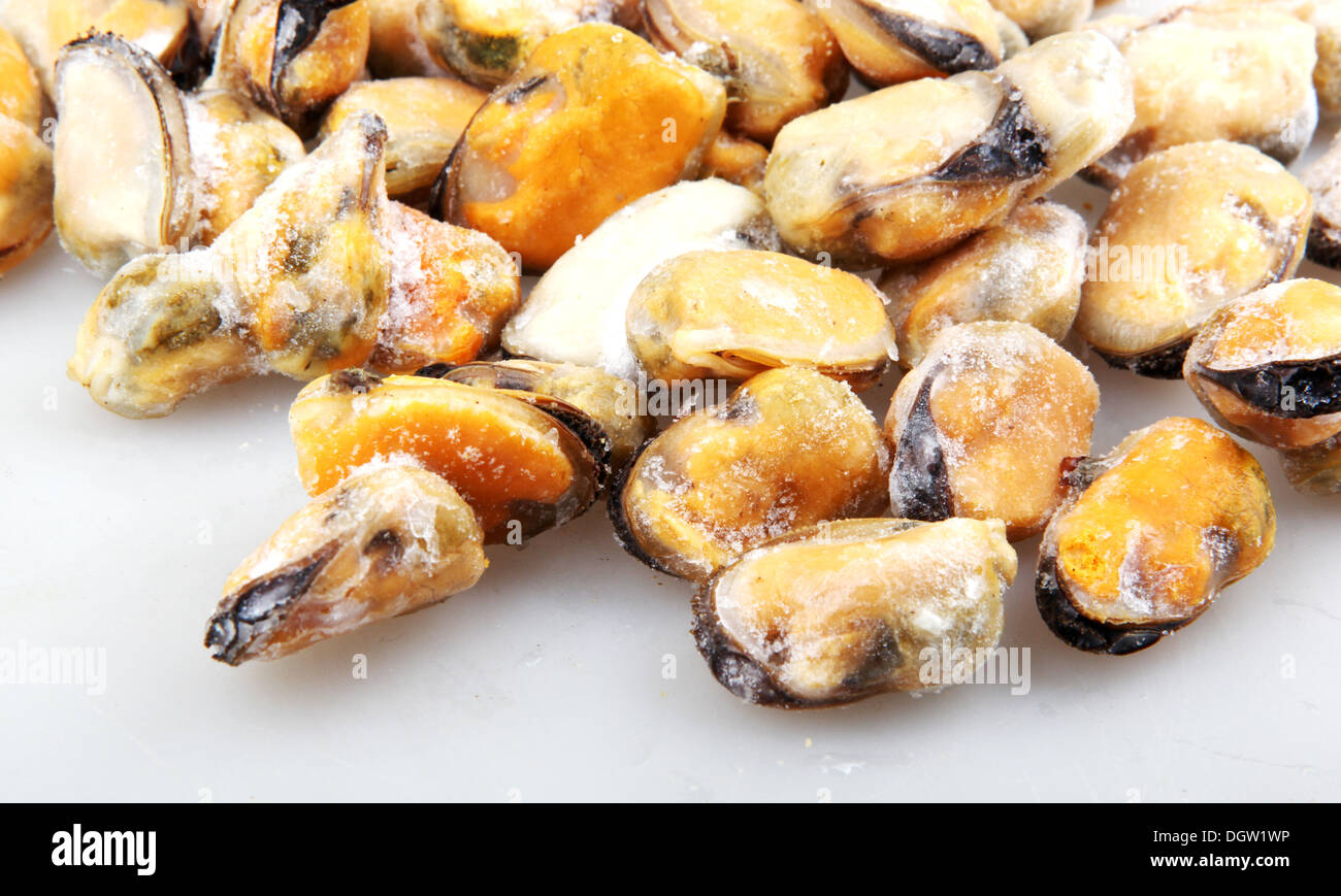 Oyster muscle hi-res stock photography and images - Alamy