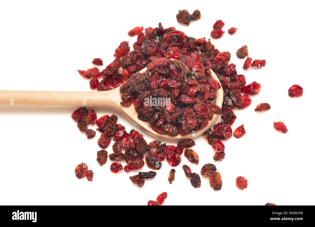 Asian barberry hi-res stock photography and images - Alamy