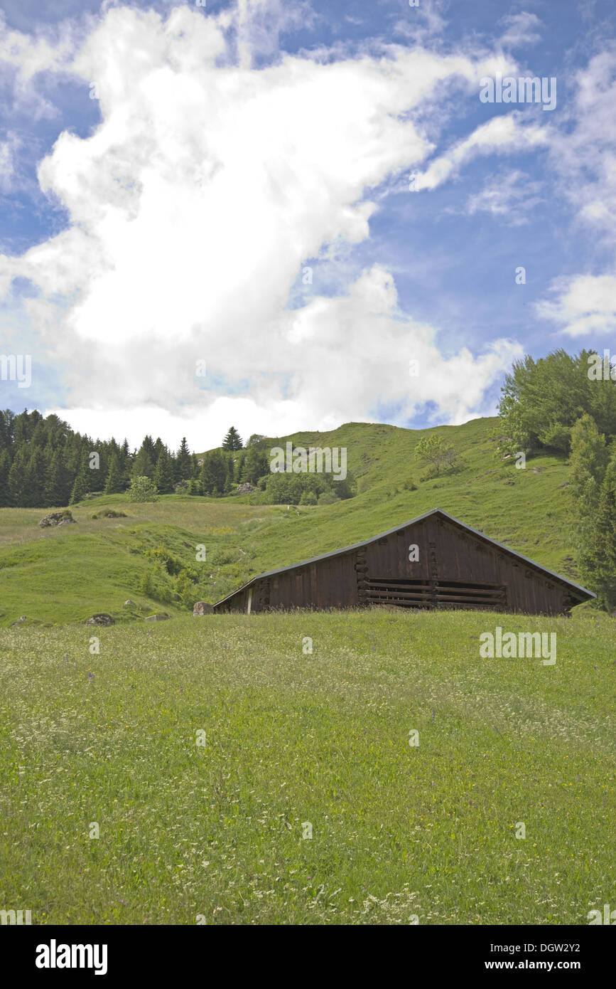 Alp natur hi-res stock photography and images - Alamy