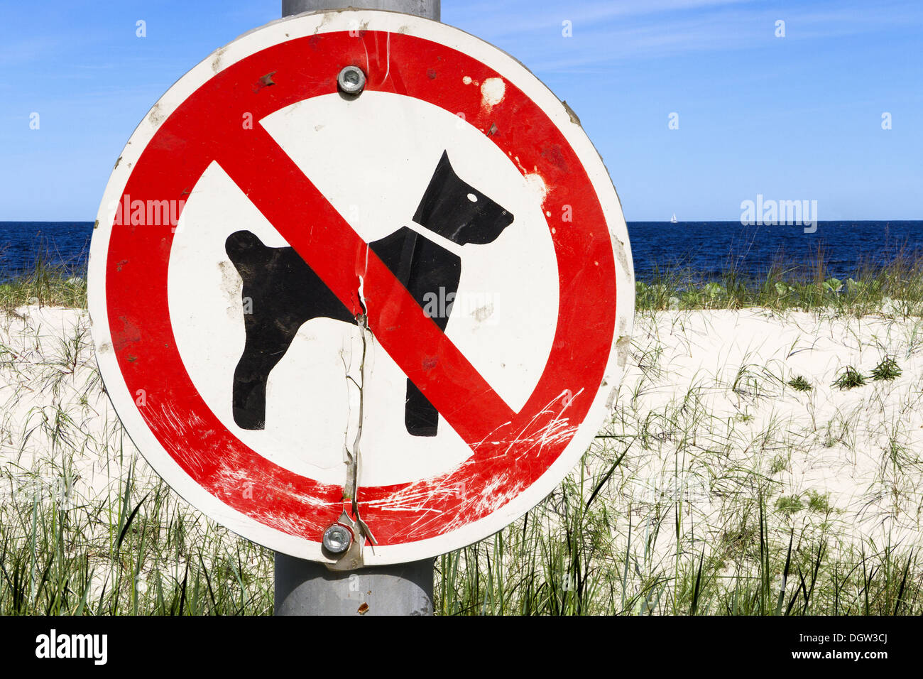 No entry for dogs hi-res stock photography and images - Alamy