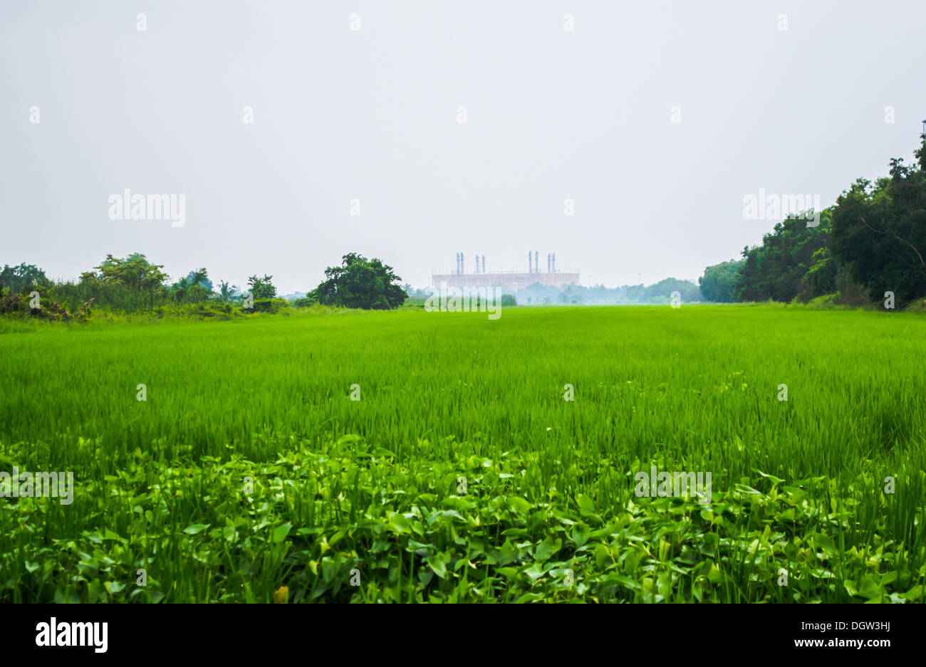 Our house is very nice suburb Stock Photo - Alamy