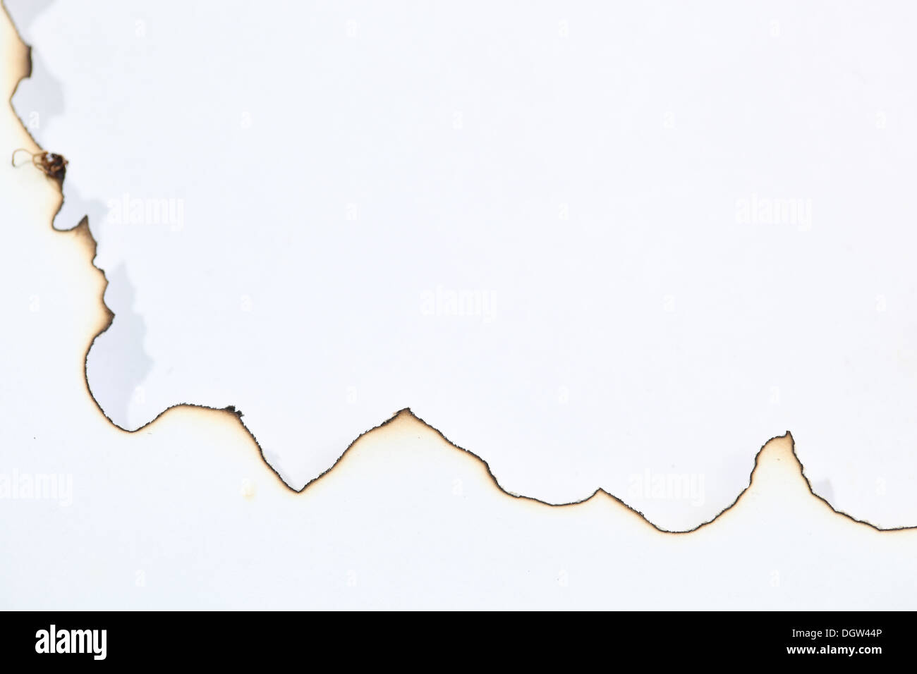 burned paper isolated on white Stock Photo - Alamy