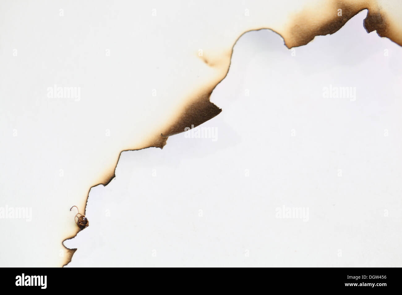 burned paper isolated on white Stock Photo - Alamy