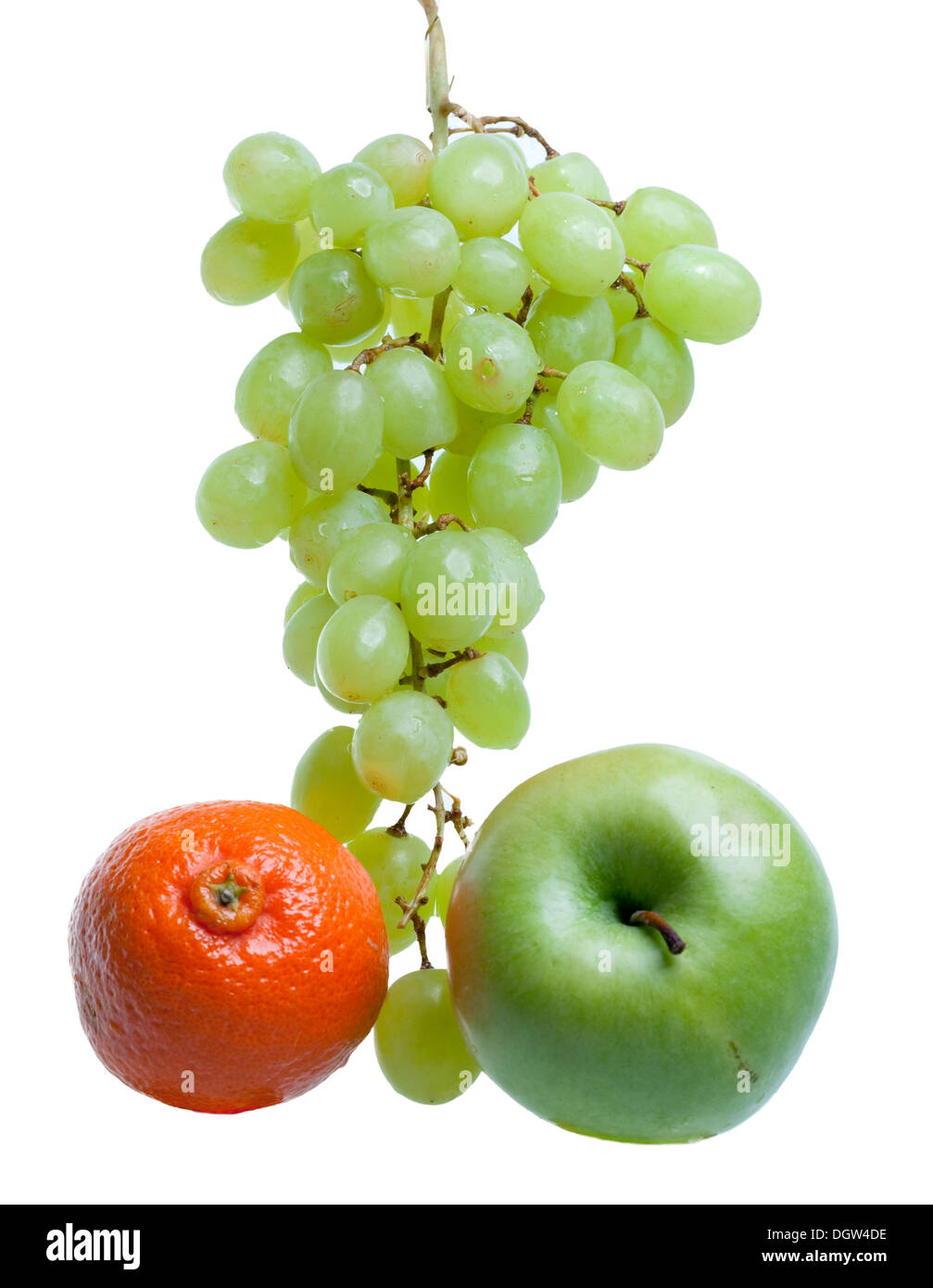 Juicy green water plant in Cut Out Stock Images & Pictures - Alamy