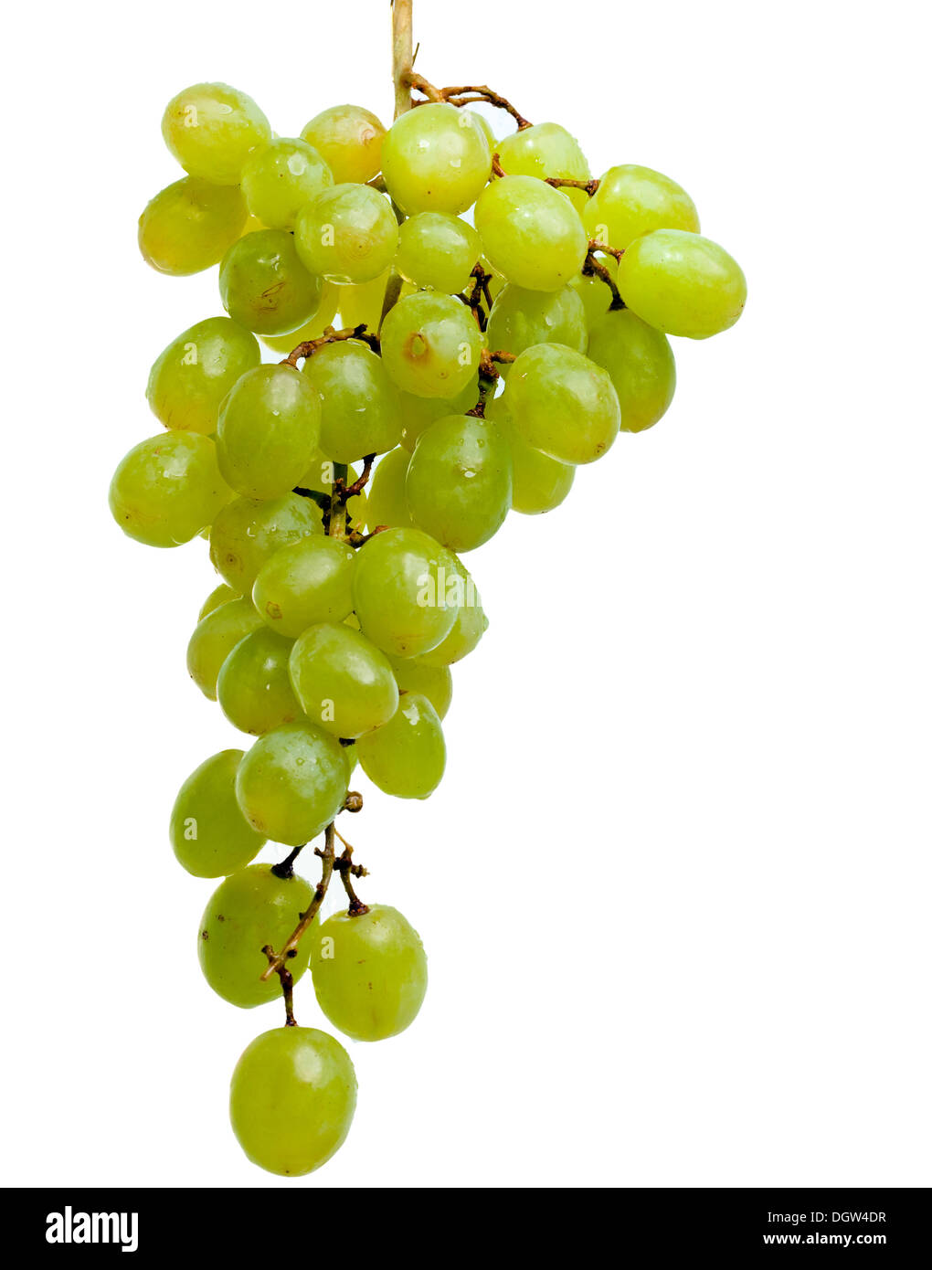 Cluster of grapes Stock Photo - Alamy