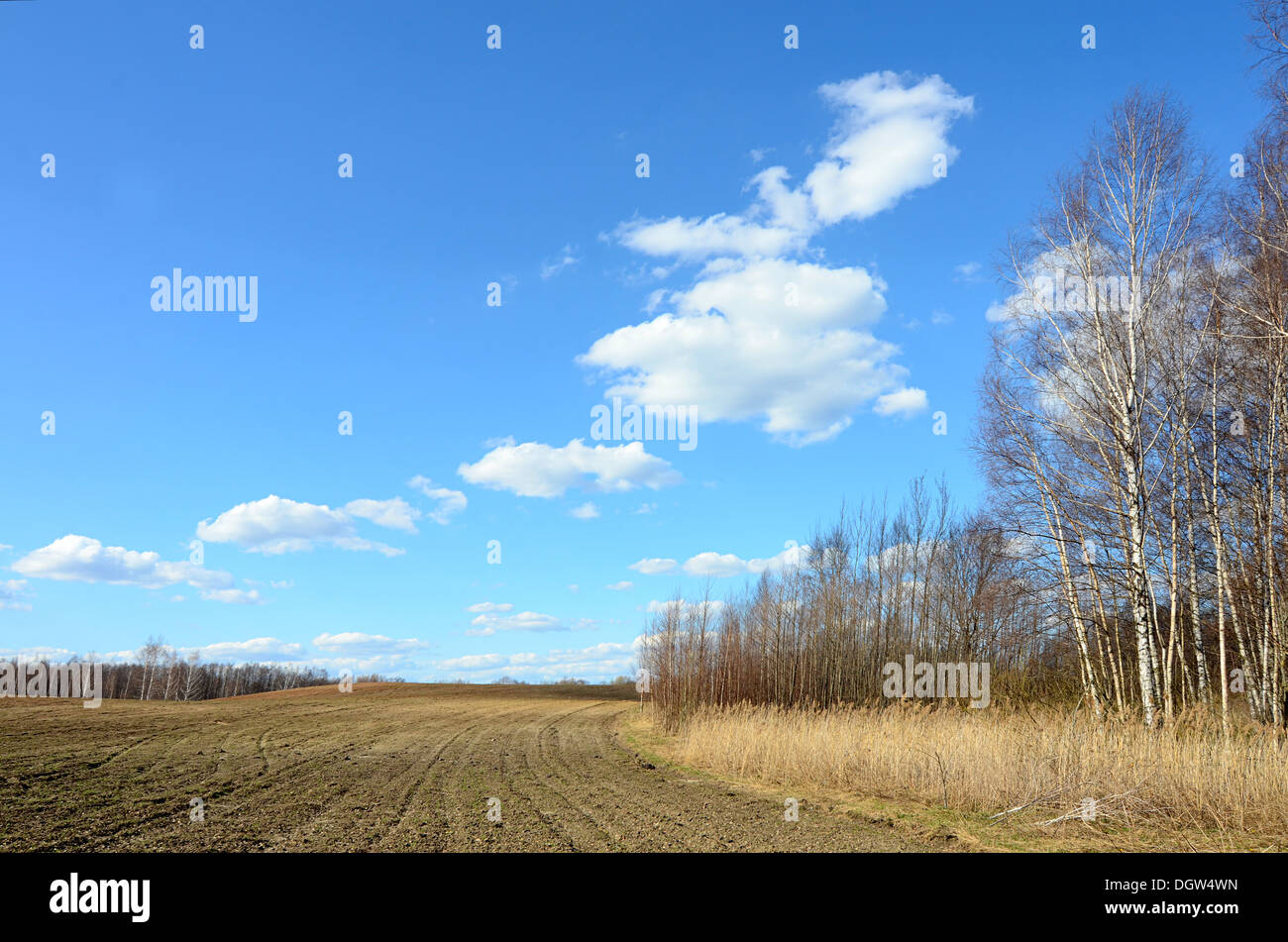 Spring landscape - the ploughed field Stock Photo - Alamy
