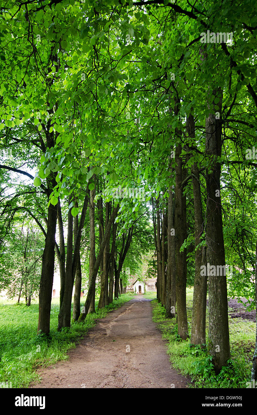 Footpath to grass wood hi-res stock photography and images - Alamy