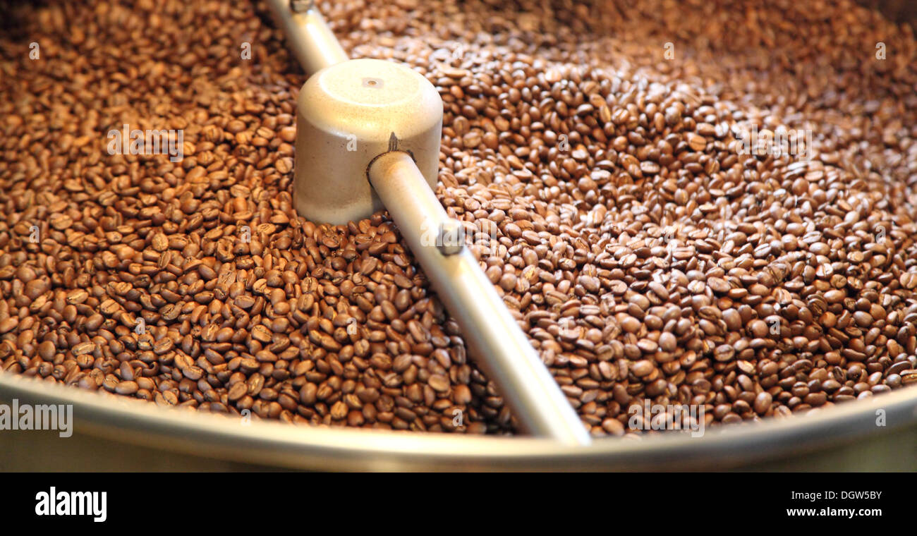 The machine is fried grains of coffee Stock Photo - Alamy