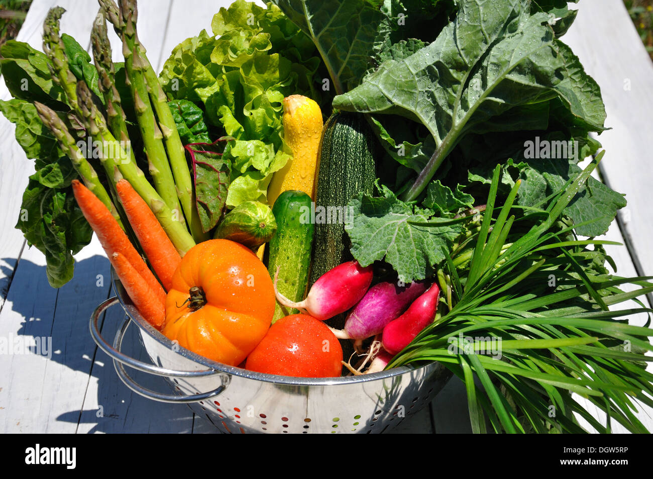 Fresh vegetables just collected from a garden, in colander Stock Photo ...