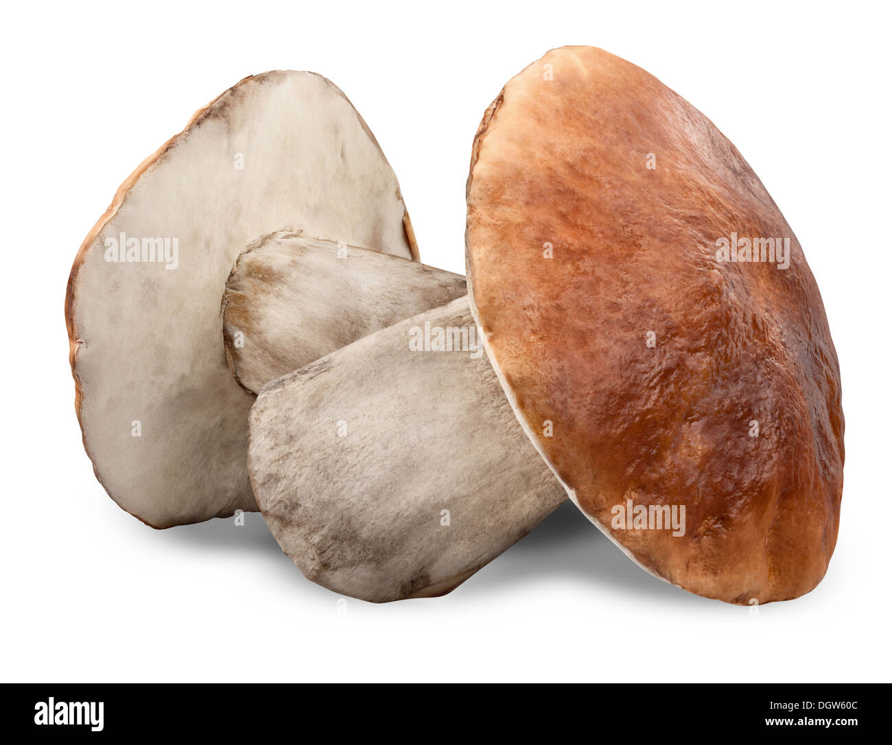Gourmet fungi boletus edulis hi-res stock photography and images - Alamy