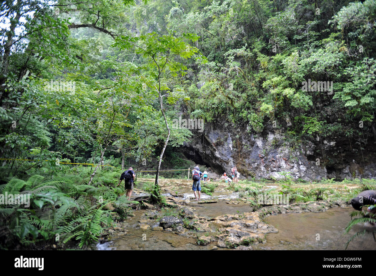 Semuc Champey, in the Alta Verapaz region of Guatemala, consists of a ...