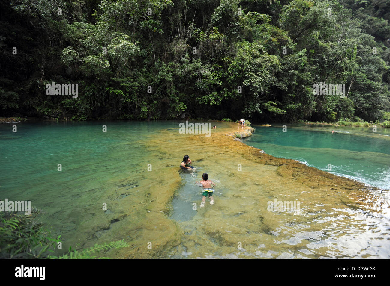 Semuc Champey, in the Alta Verapaz region of Guatemala, consists of a ...