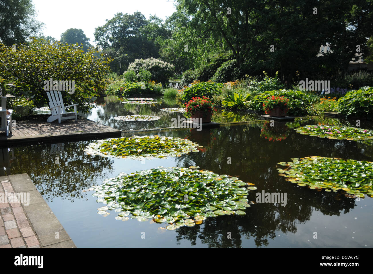 Ponds hi-res stock photography and images - Alamy